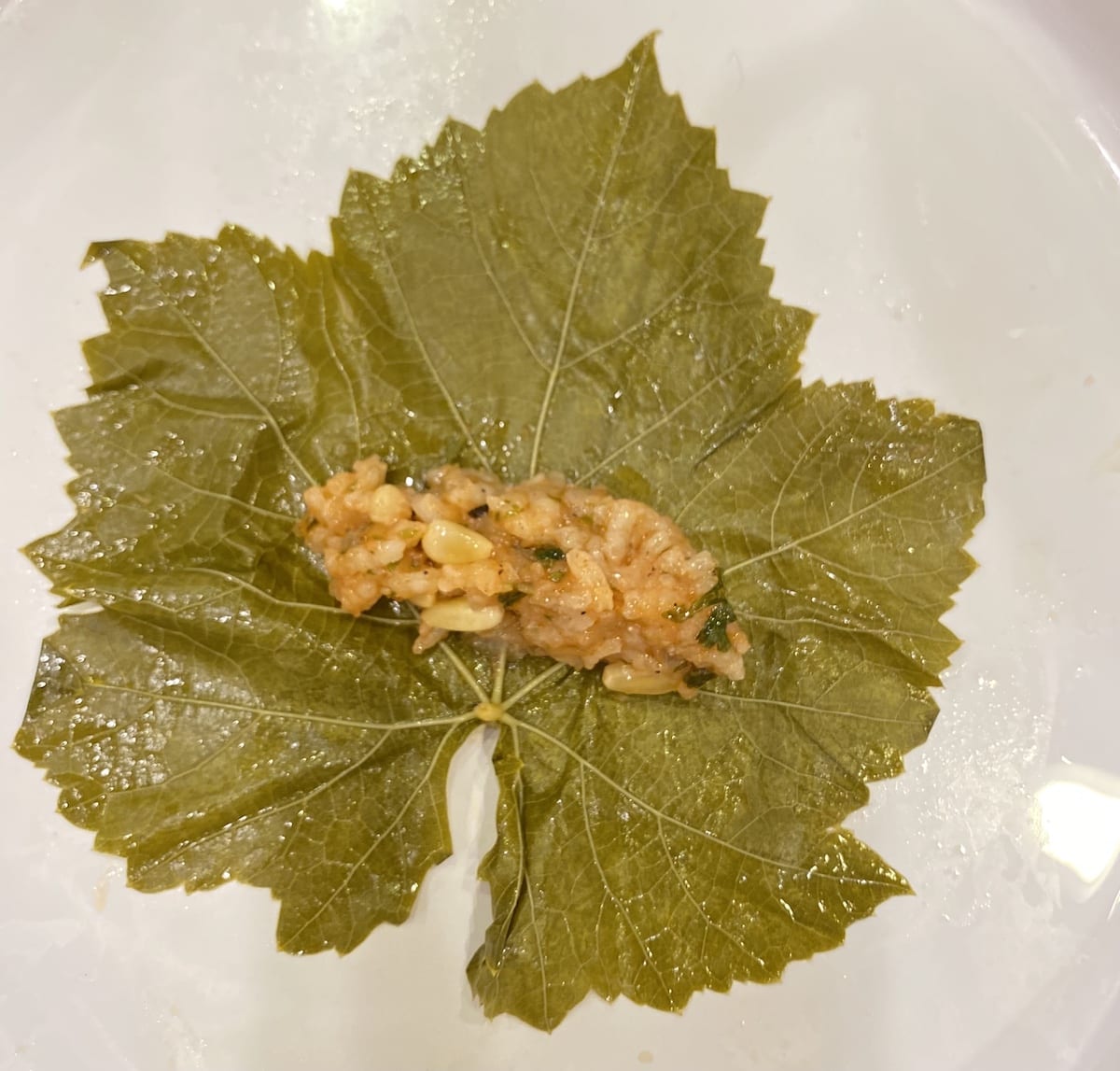 Yalanchi Sarma | The Stuffed Grape Leaf