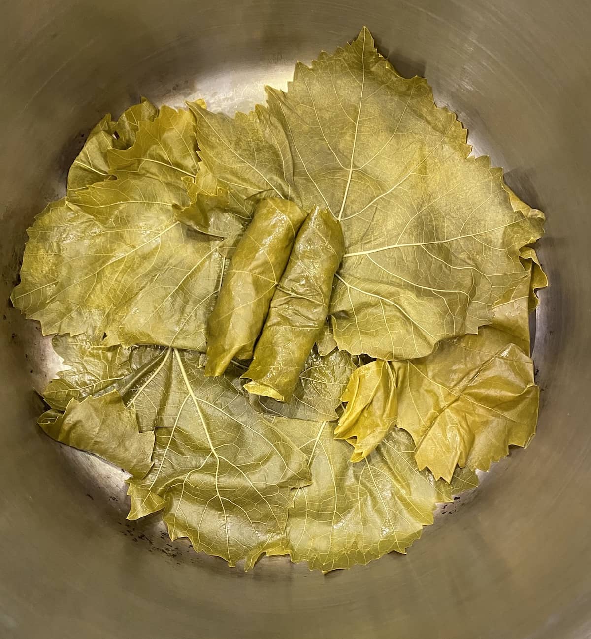 Yalanchi Sarma | The Stuffed Grape Leaf