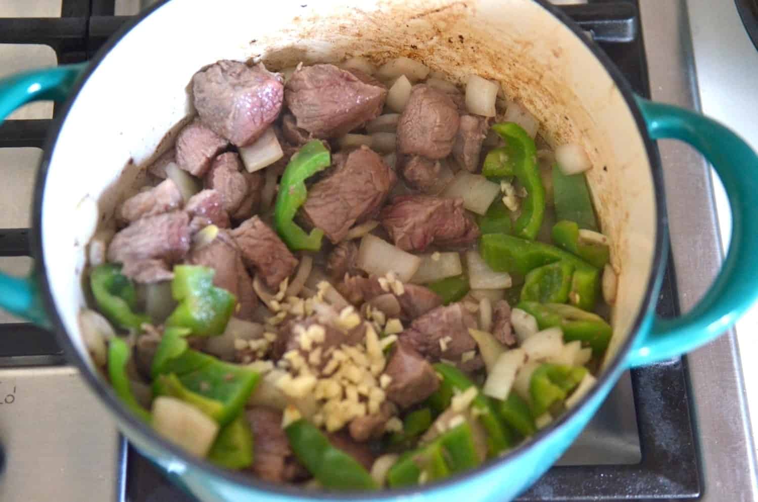 Middle eastern Lamb Stew | The Stuffed Grape Leaf