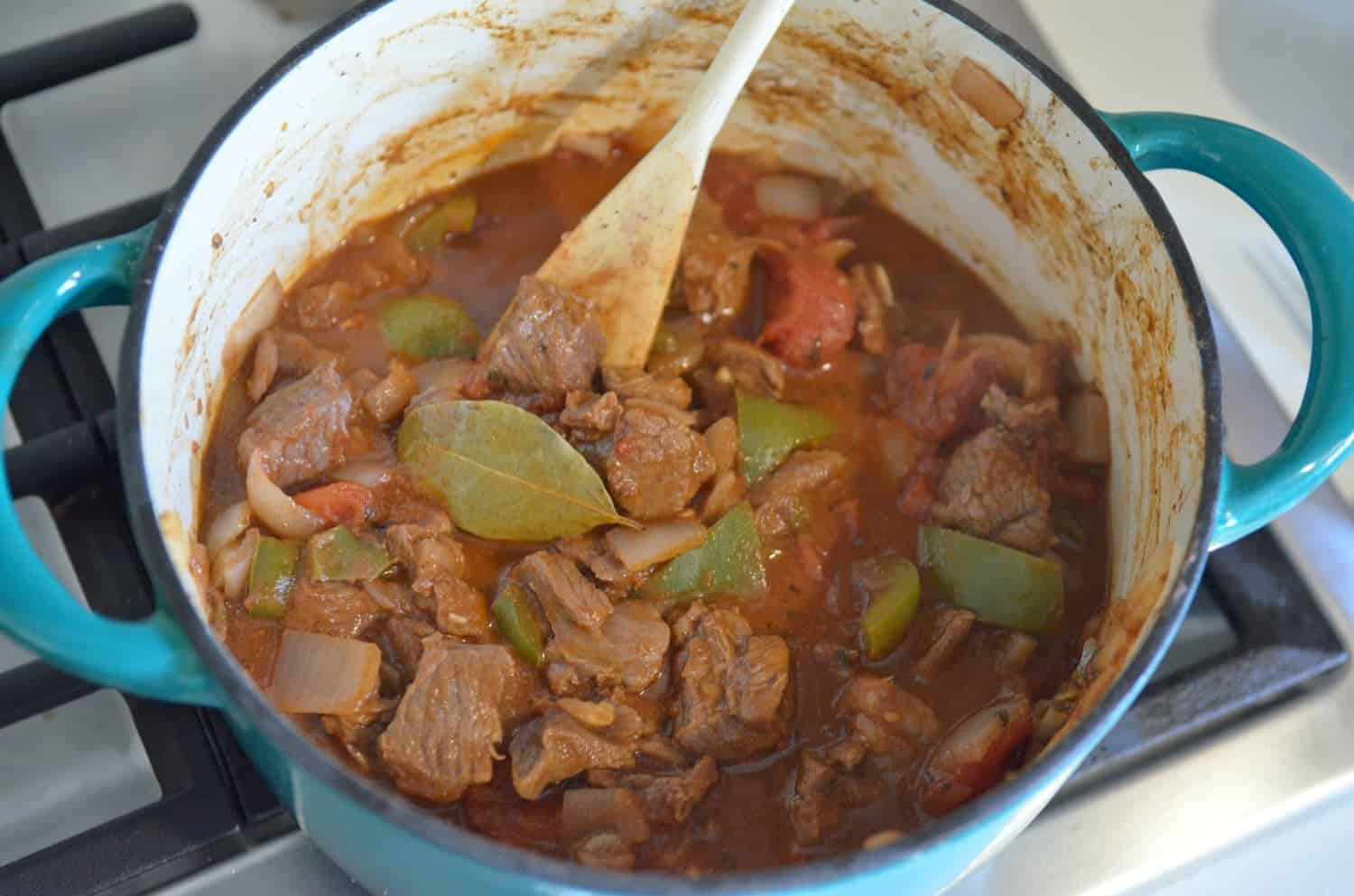 Middle eastern Lamb Stew | The Stuffed Grape Leaf